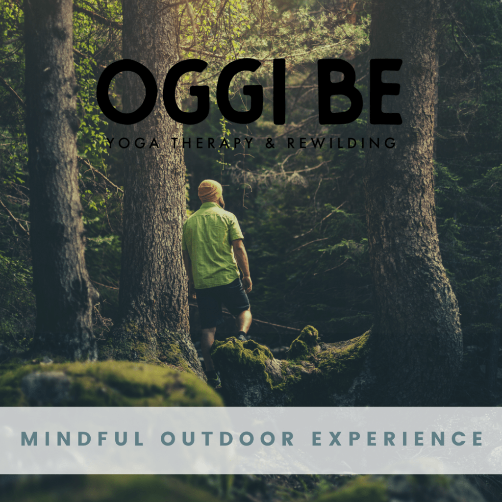 Rewilding Mindful Outdoor Experience » Catamount Outdoor Family Center